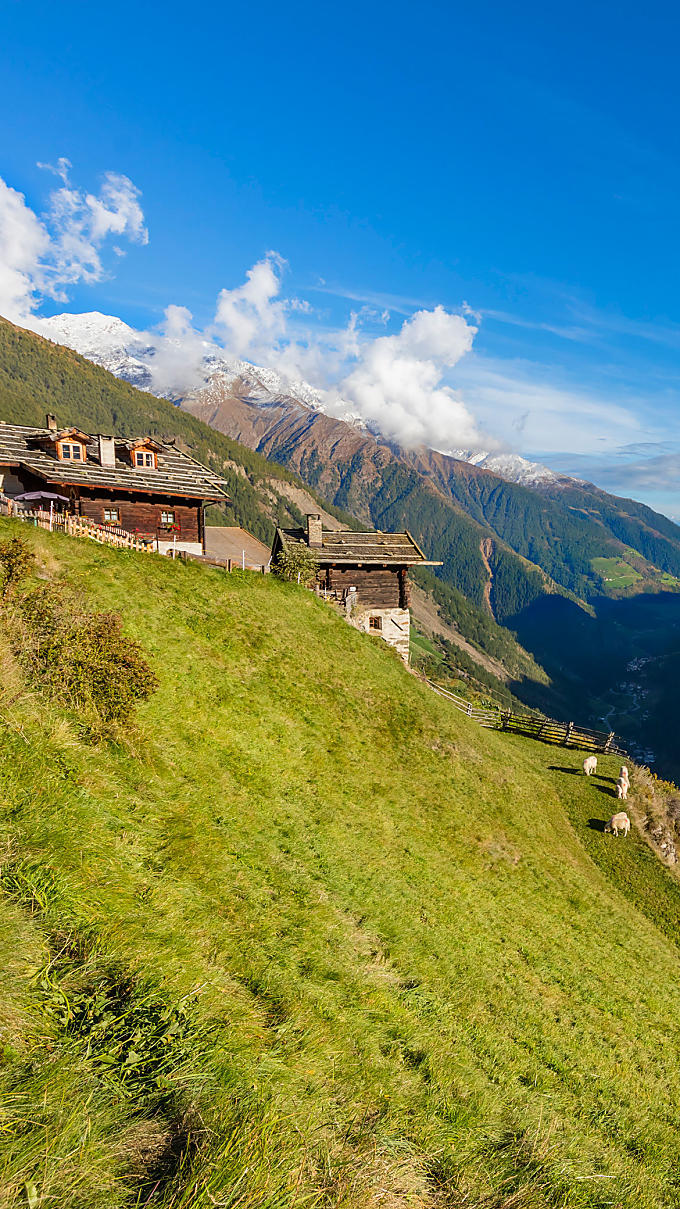 Per chi ama i masi di montagna
